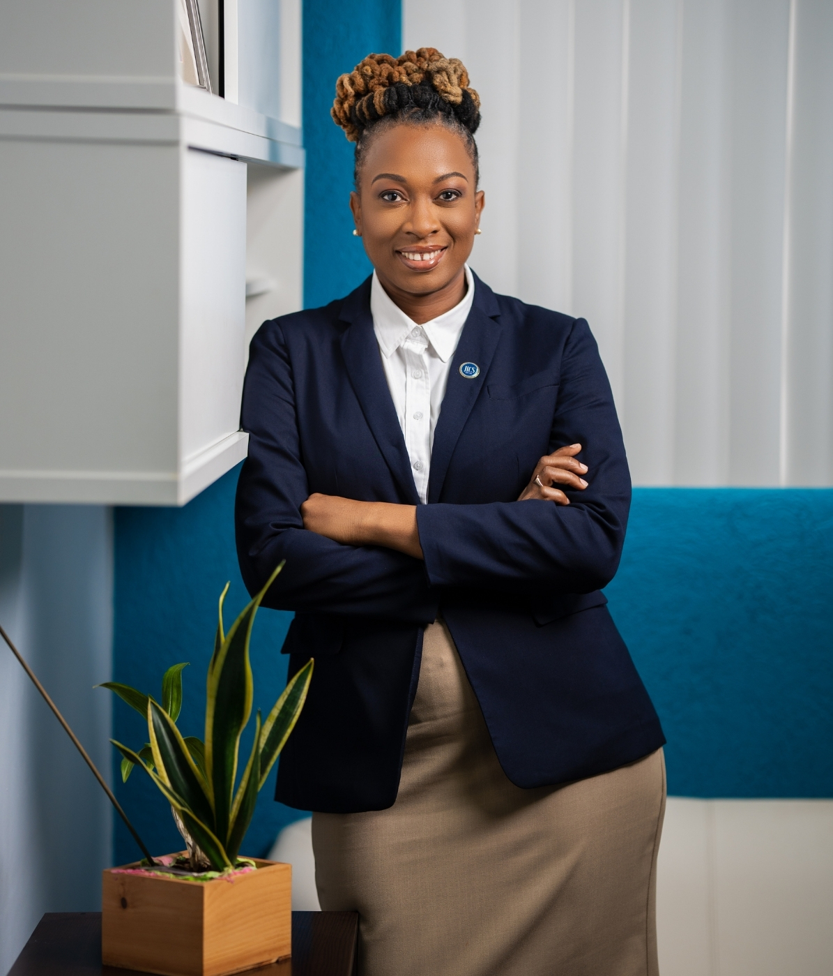 About JICS | Grenada Citizenship by Investment (CBI) program - Just ...